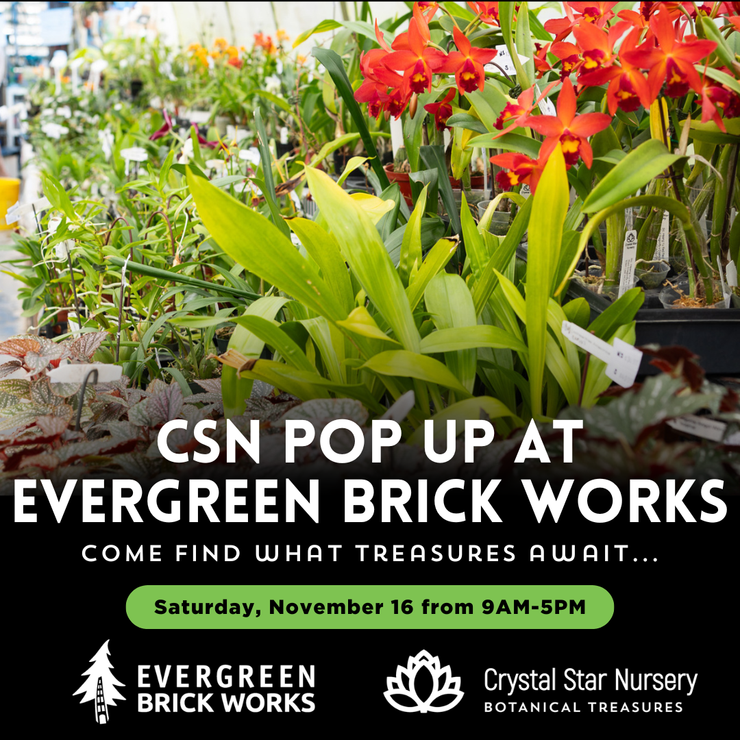 Crystal Star Nursery | Plants in Ontario