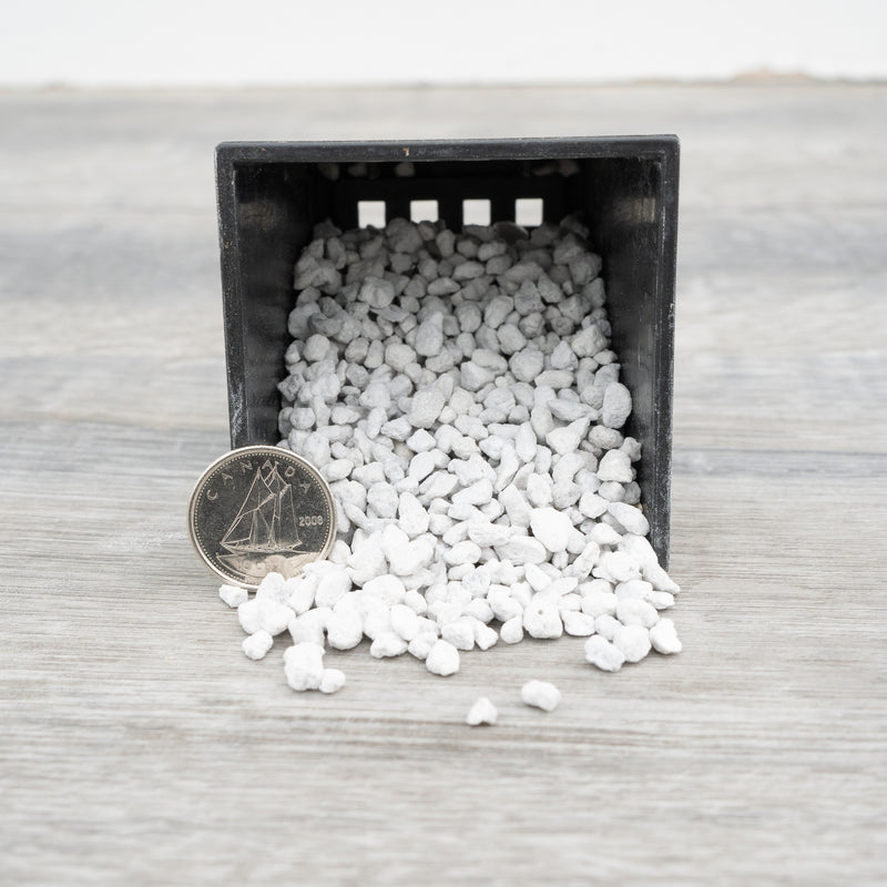 Pumice - Crystal Star Nursery