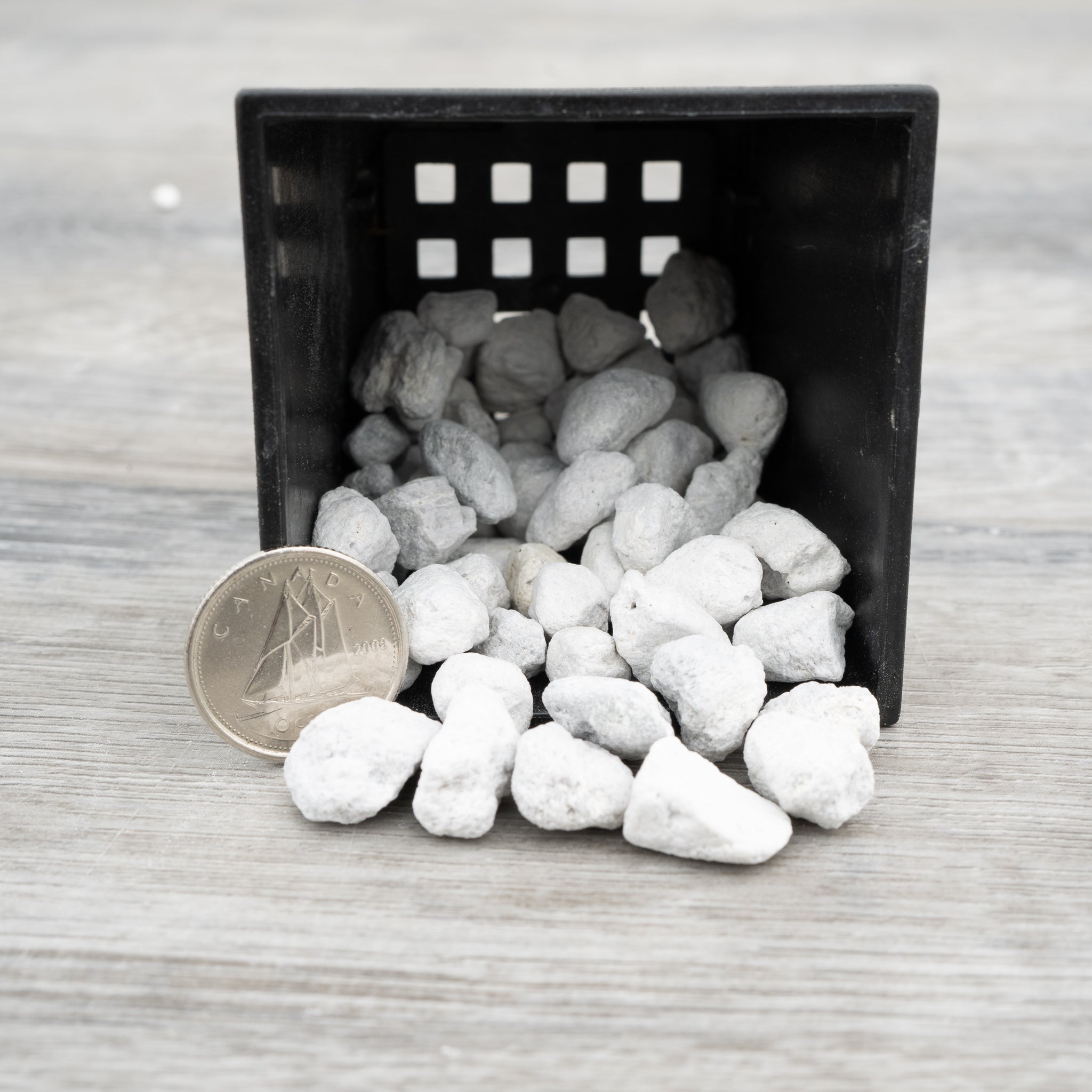 Pumice - Crystal Star Nursery