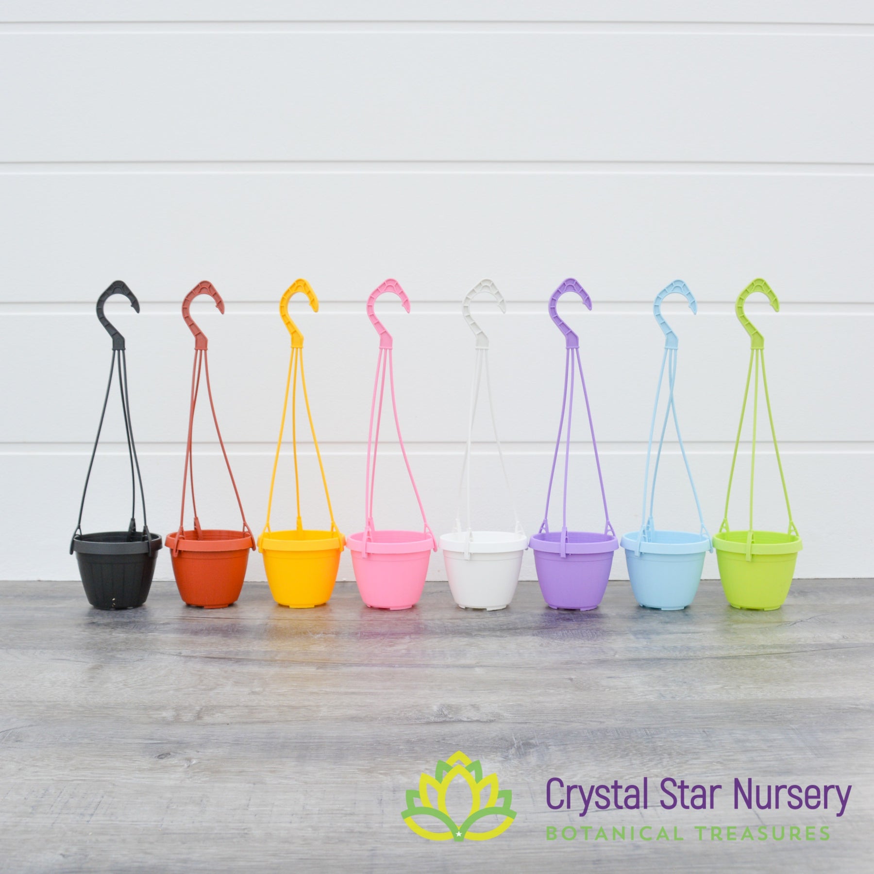 Botanical Treasure Accessories - Crystal Star Nursery