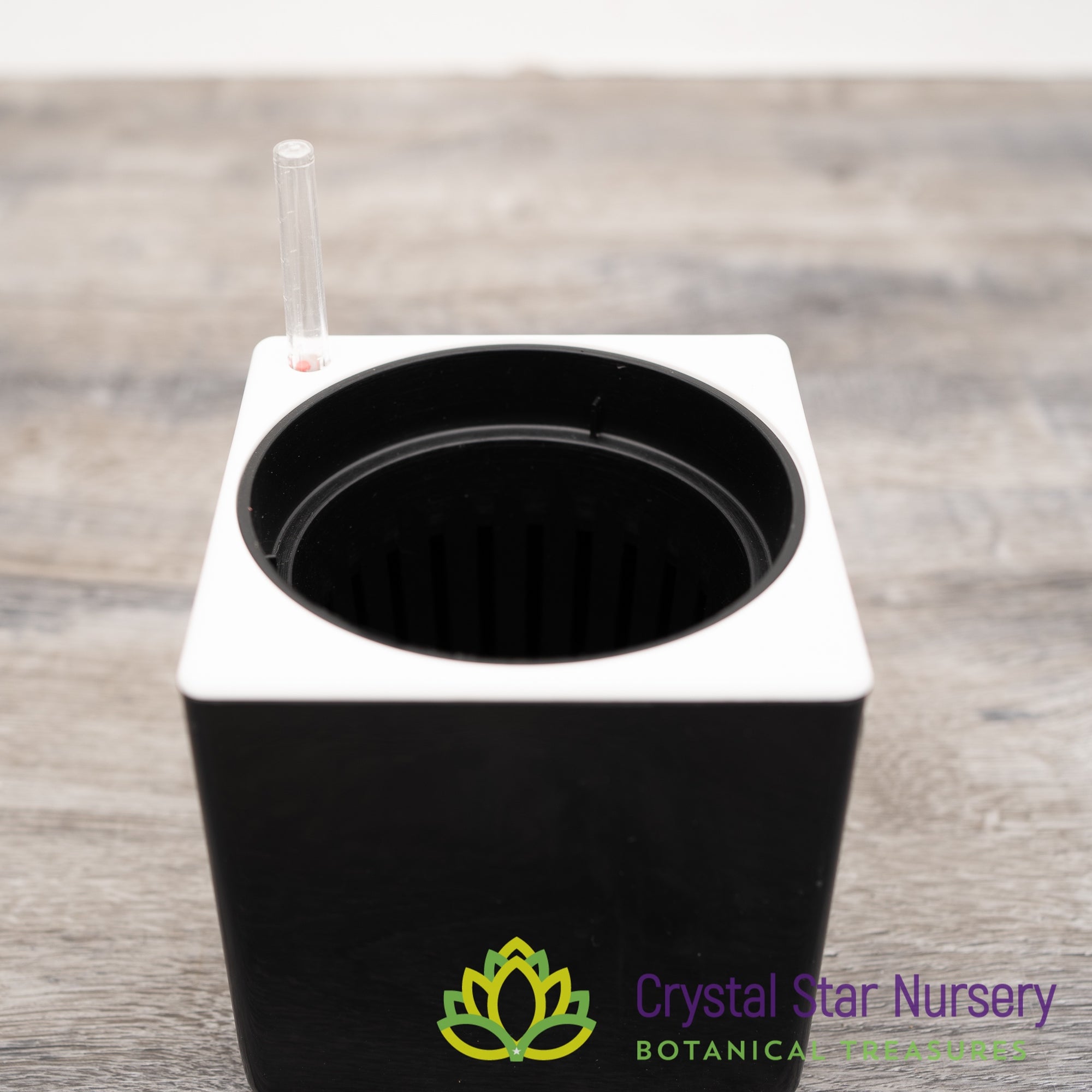 Self Watering Pot with Water Level Indicator - Crystal Star Nursery